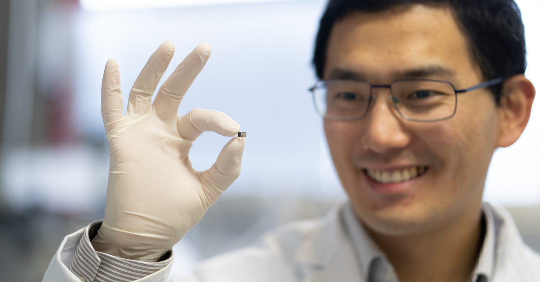 1.5 million euros for micro-medical robots | Cyber Valley